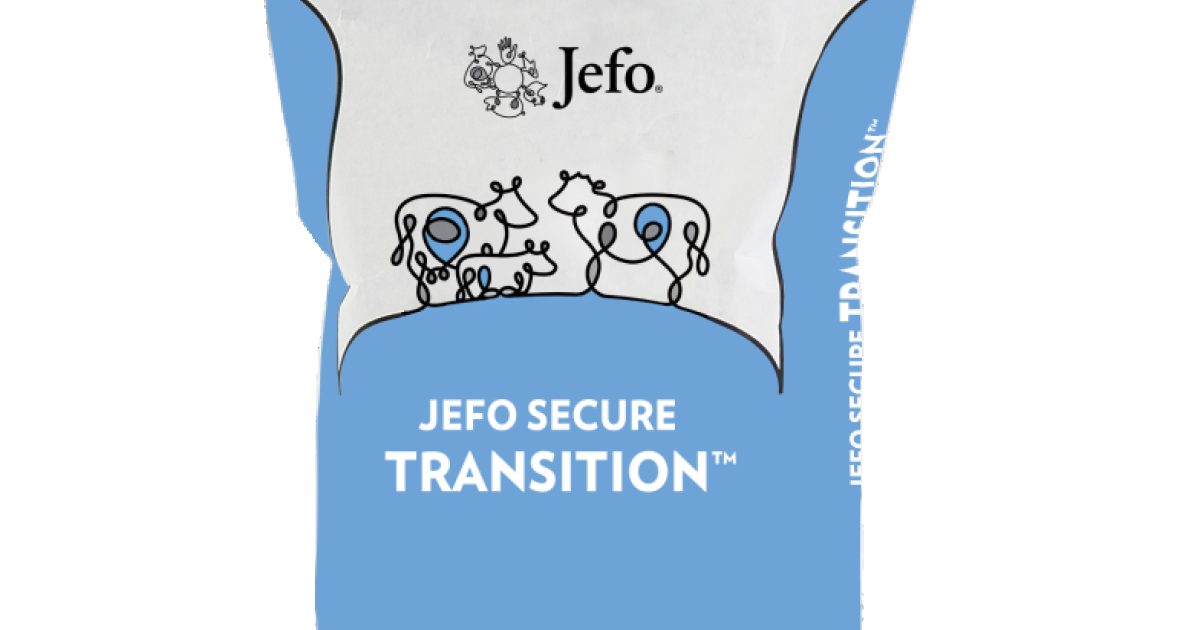 Jefo SECURE TRANSITION™ – Jefo - Life, made easier
