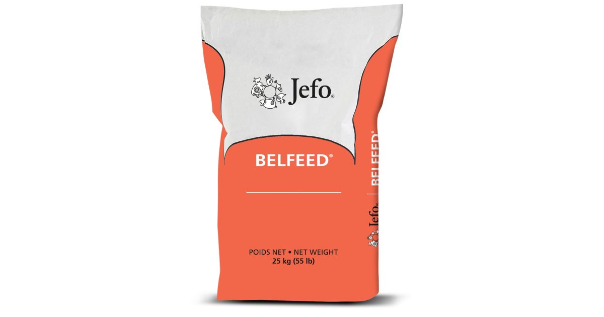 Belfeed – Jefo - Life, made easier