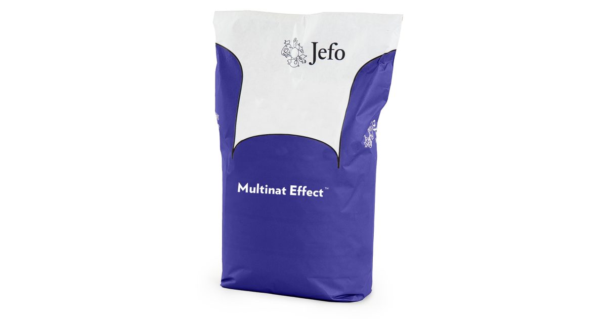 Multinat Effect – Jefo - Life, made easier