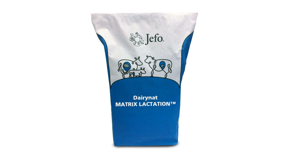 Dairynat MATRIX LACTATION™ – Jefo - La vie en plus facile