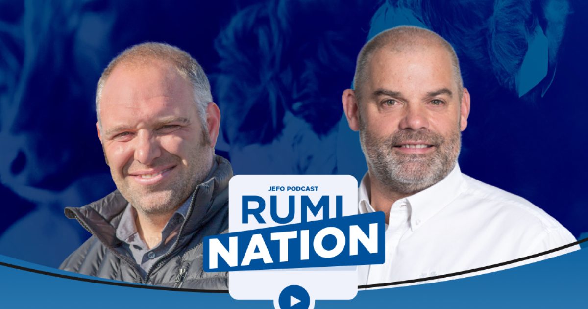 Feeding in Robotic Milking Systems | RumiNation Podcast – Jefo - Life ...