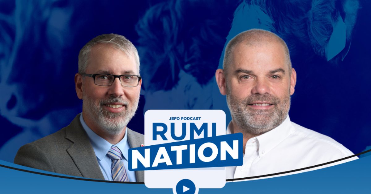 Best Feeding Practices for Receiving Cattle | RumiNation Podcast – Jefo ...