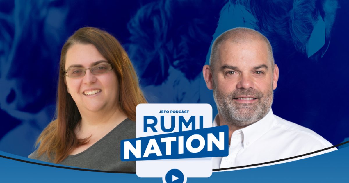 Feed Efficiency in Feedlot Cattle: Key Factors | Jefo Podcast – Jefo ...