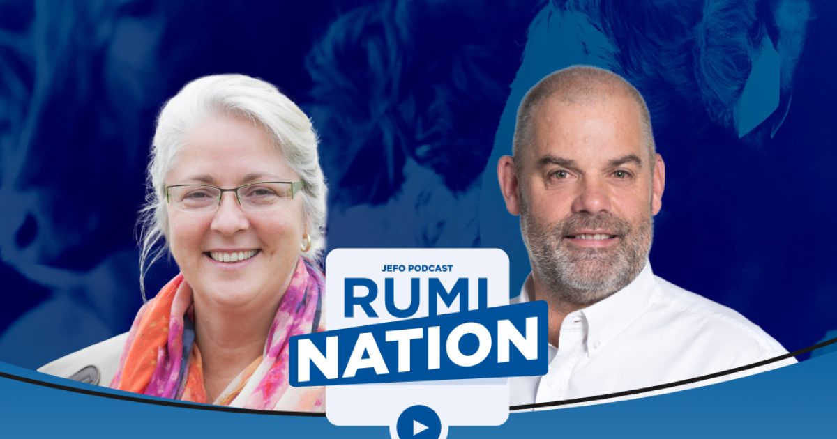 Cow-Calf Separation in Dairy Farming | RumiNation Podcast – Jefo - Life ...