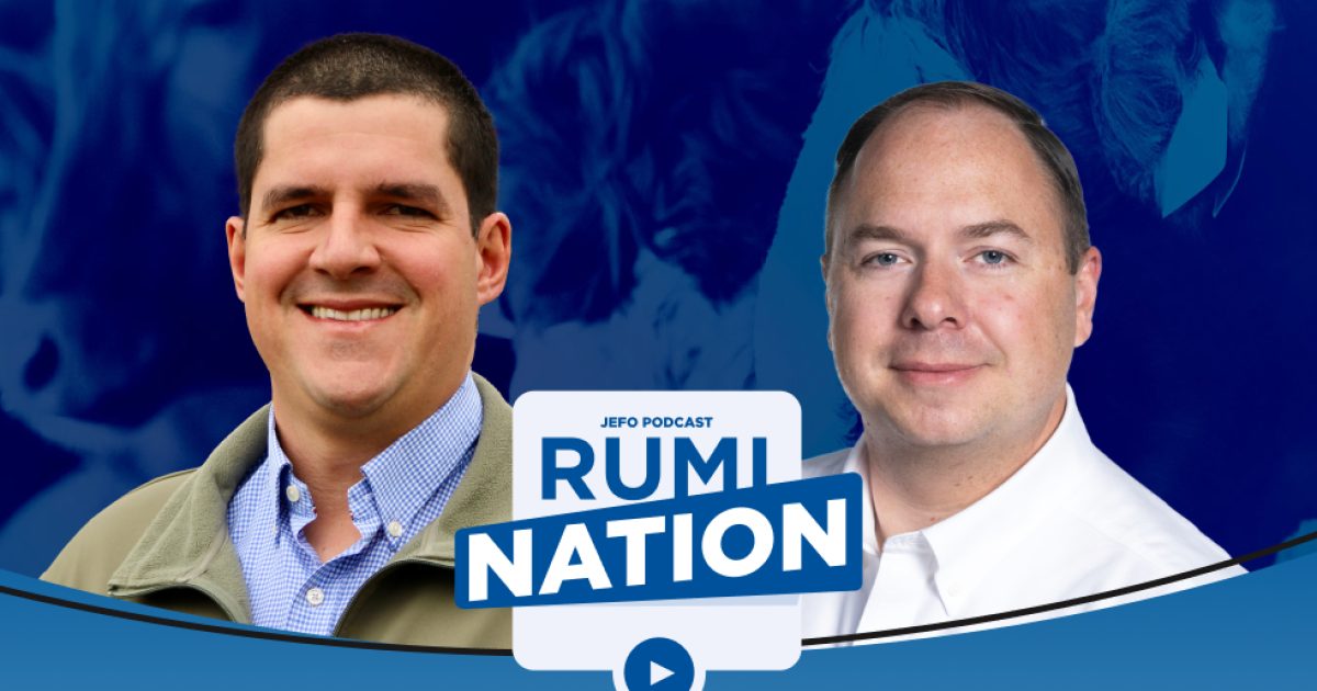 Dairy Beef Feeding Systems | Challenges & Insights | Rumination Podcast ...