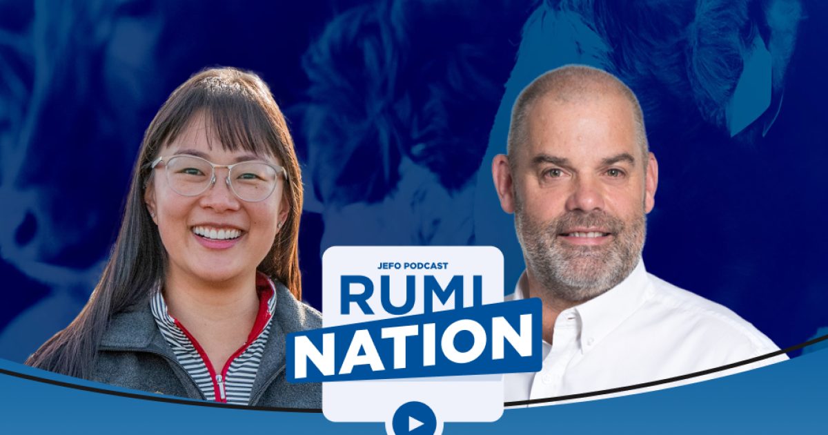 Herramientas para el manejo de vacas en la granja | Podcast RumiNation – Jefo - Life, made easier