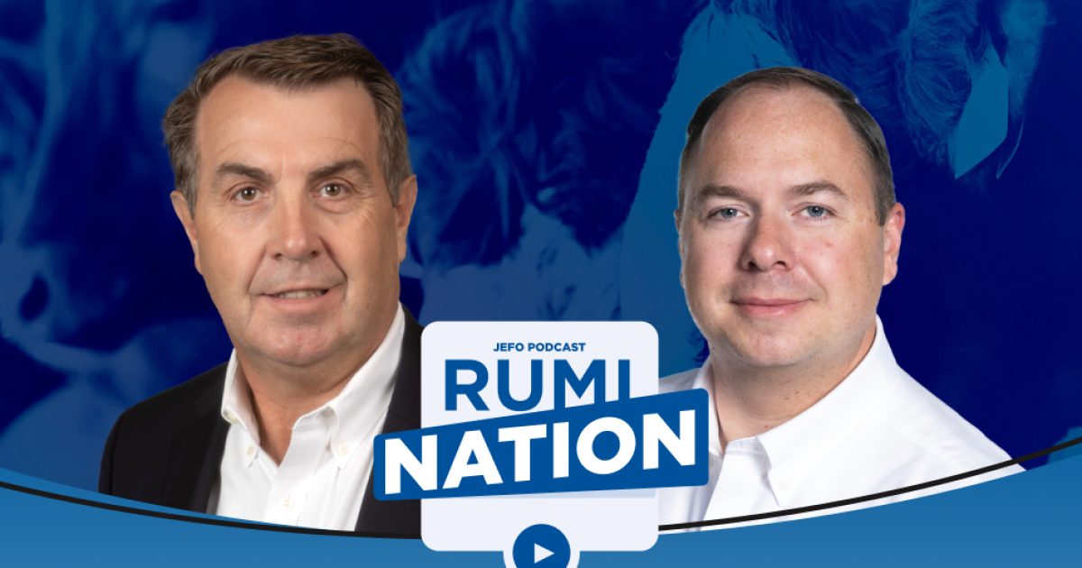 Cattle Metabolism and Muscle Development | RumiNation Podcast – Jefo ...